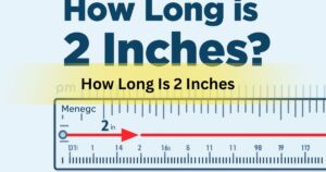 How Long Is 2 Inches? 12 Common Items That Show This Measurement