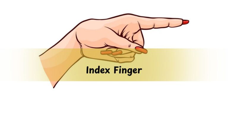 11 Common Things That Are 1 Inch Long: Your Complete Measurement Guide