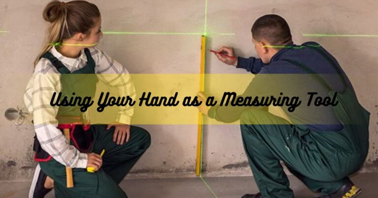 15 Common Things That Are 6 Inches Long